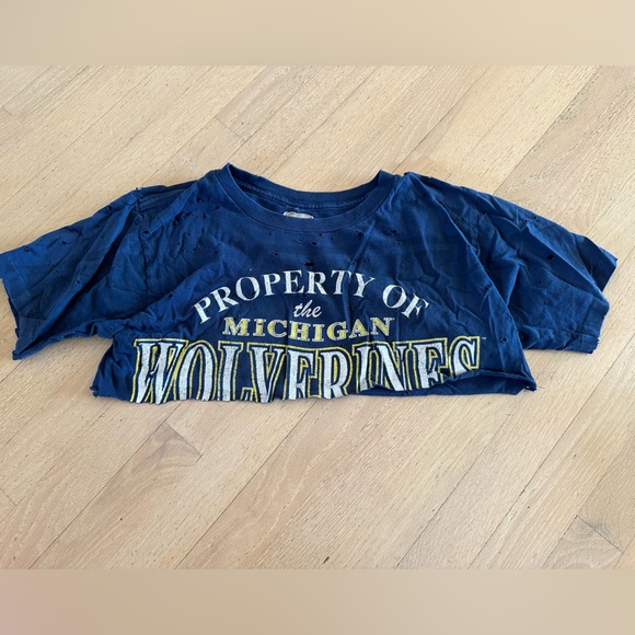 LF | Tops | Vintage Super Cropped University Of Michigan Tailgate ...